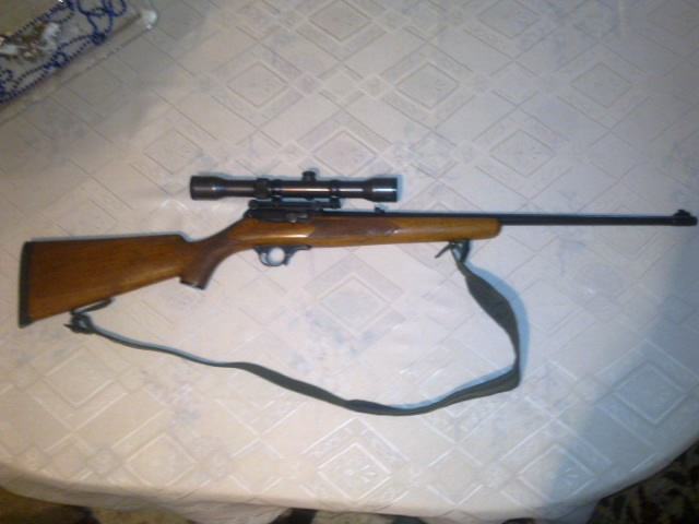 malokalibarska puška