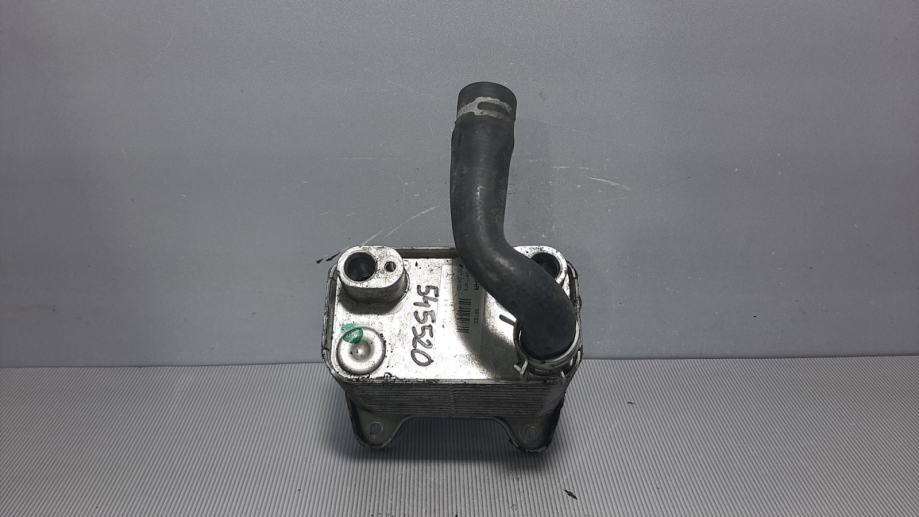 HLADNJAK ULJA MERCEDES S KLASA (W220) > 98-02 A6131880101