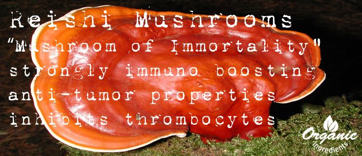100% Čista Organska REISHI GLJIVA za Imuno Zdravlje i Dugovječnost