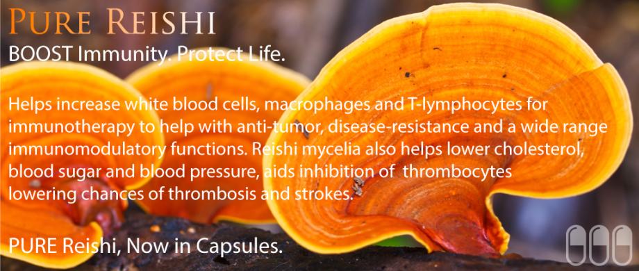 100% Čista Organska REISHI GLJIVA za Imuno Zdravlje i Dugovječnost