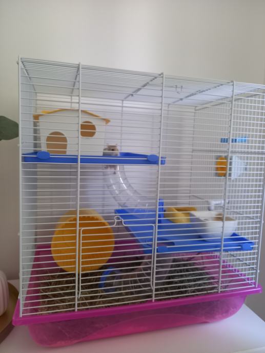 Hrčak i kavez 200 kn