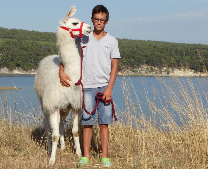 Lama, Ljama, Ljame, Lame