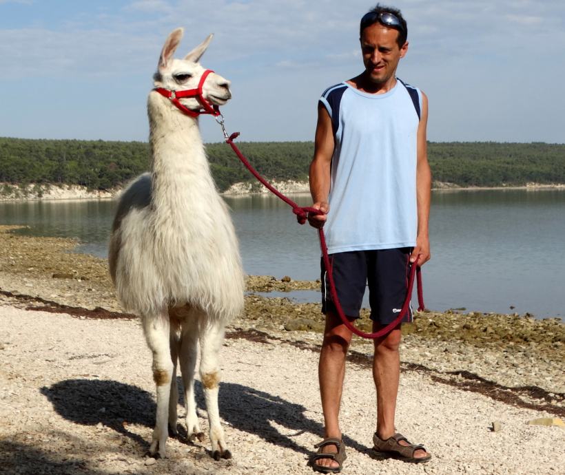 Lama, Ljama, Ljame, Lame