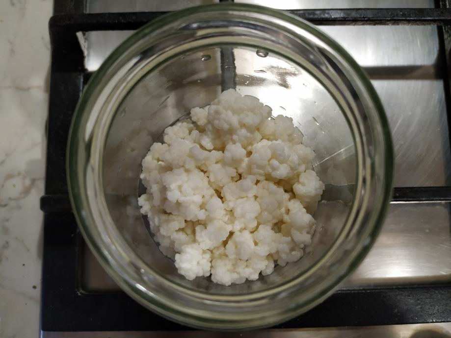 AKCIJA! Kefirna zrnca - gljivice za kefir
