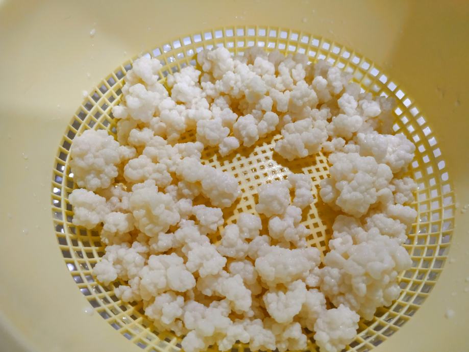 AKCIJA! Kefirna zrnca - gljivice za kefir