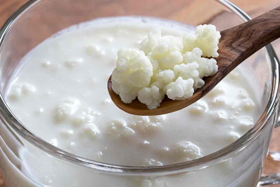 Kefirna zrnca - poklanjam
