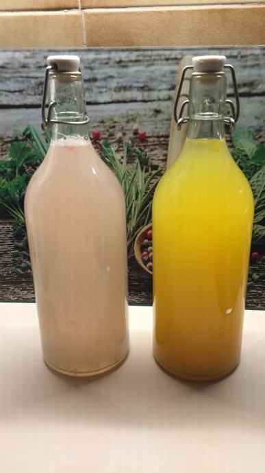 vodeni kefir/tibicos/japanski vodeni kristali