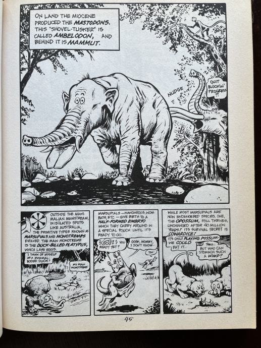 Larry Gonick: The Cartoon History of the Universe I. Volumes 1 - 7