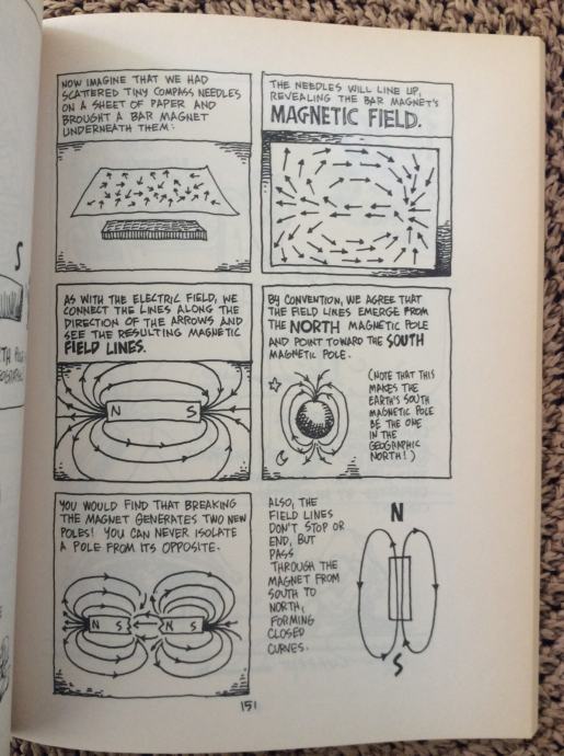 Larry Gonick: THE CARTOONING GUIDE TO PHYSICS
