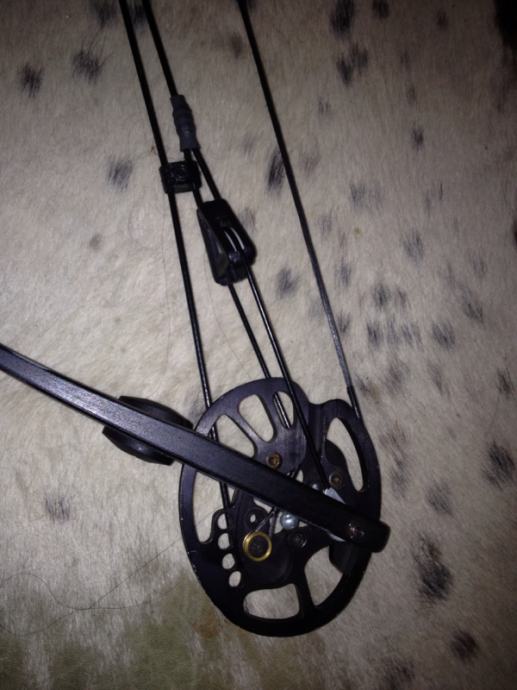 Luk Martin cougar speed flite dual cam