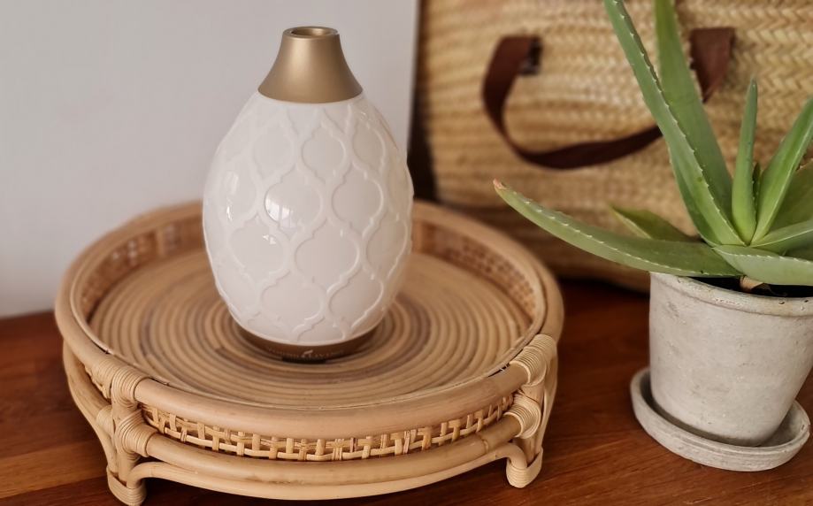 Difuzor DESERT MIST Young Living