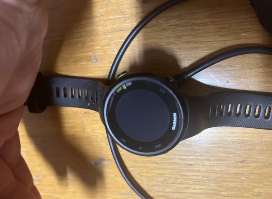 Garmin Forerunner 45