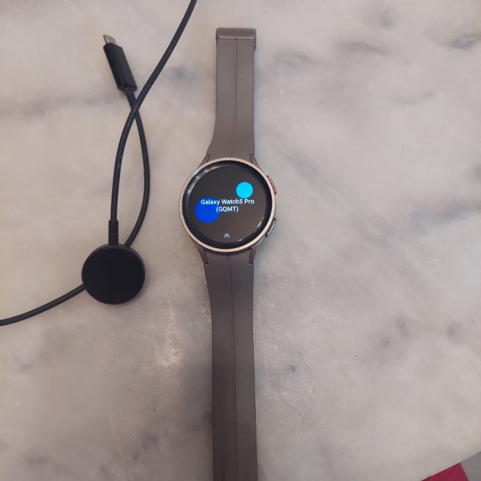 Samsung Galaxy Watch 5 Pro Silver Titan