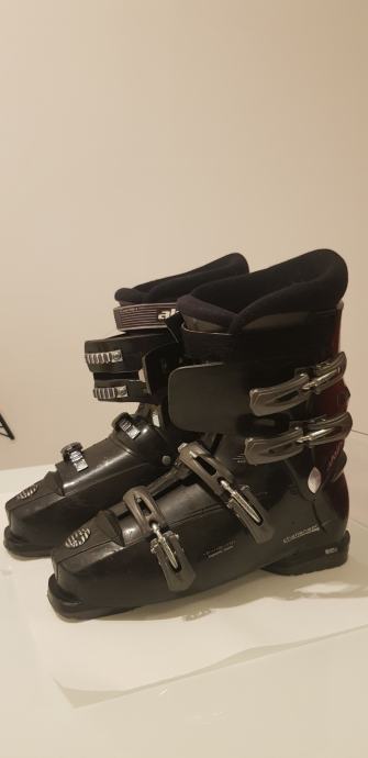 Pancerice alpina br. 47