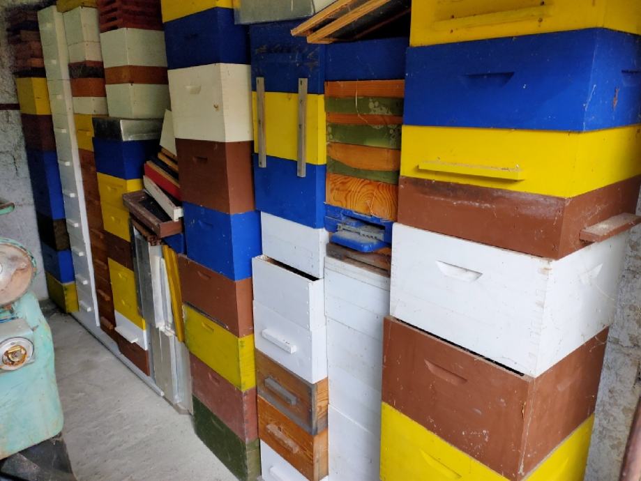 KOŠNICE LR, PRO APIS, RODNA VOJA