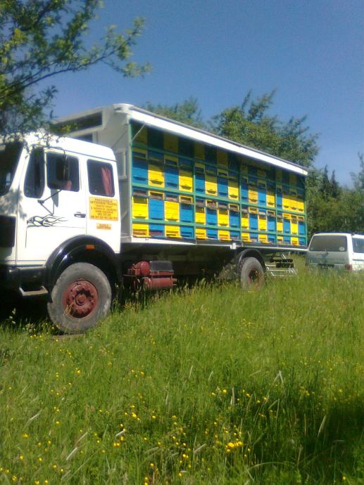 Pčelarski kamion FAP sa pčelama u AŽ košnicama