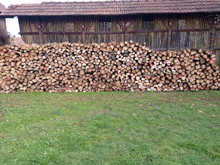 DRVA ZA OGRIJEV | Hrast, Klen