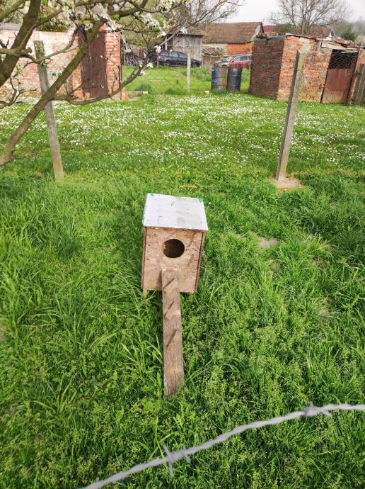 kokosinjac sa kucicama