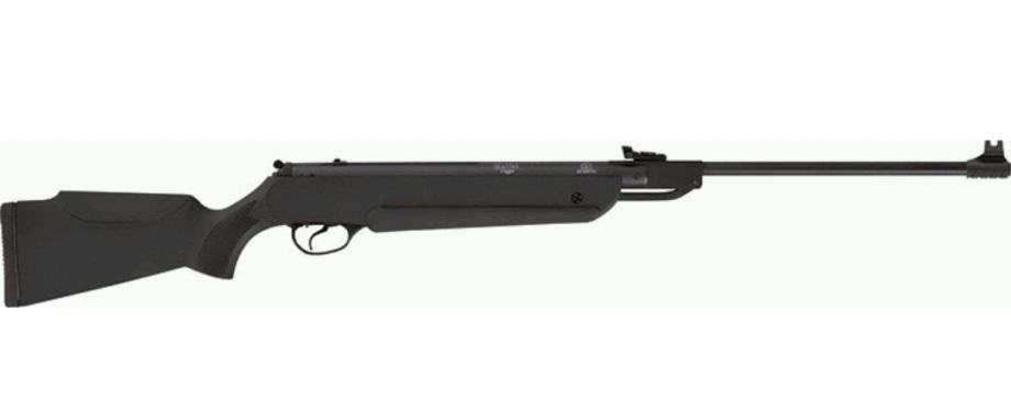 Hatsan mod70(180m/s) & gamo p-25(140m/s) 4.5mm