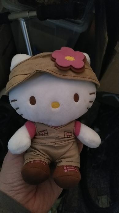 Hello Kitty explorer
