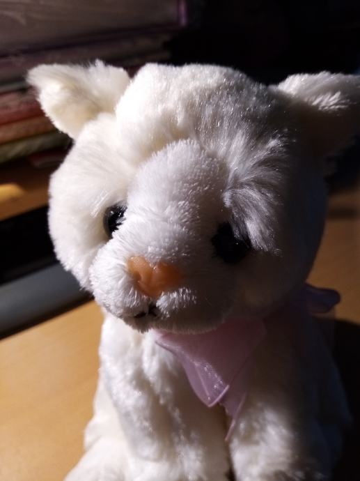 Plisana mackica, nova, nekoristena