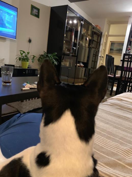 Poklanjam tri ormara