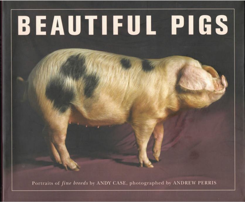 Andy Case, Andrew Perris: Beautiful Pigs