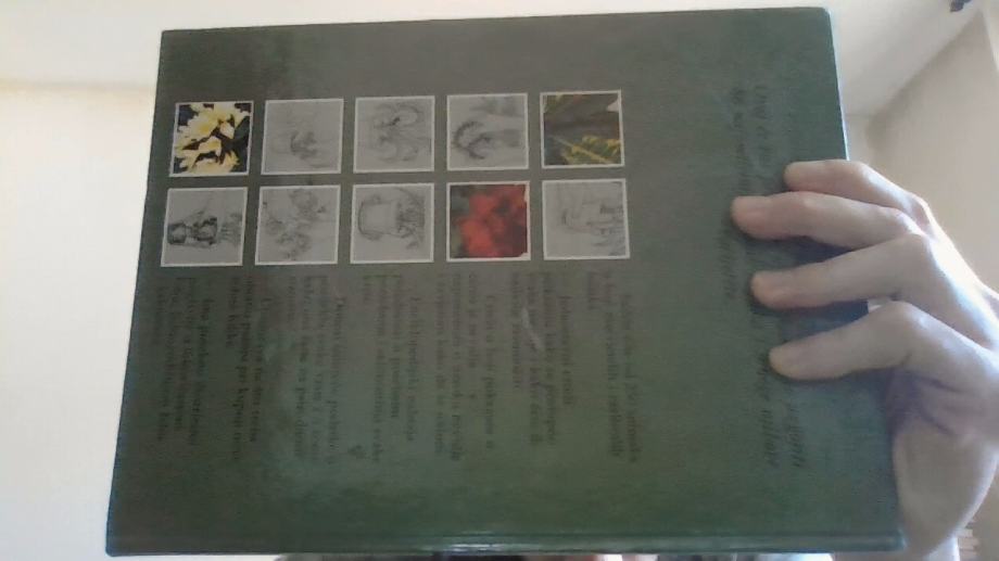 DAVID LONGMAN - NJEGA SOBNOG BILJA