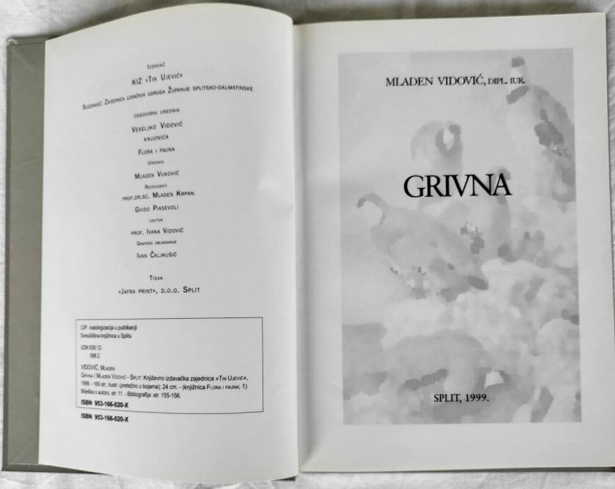 JAREBICA KAMENJARKA GRIVNA