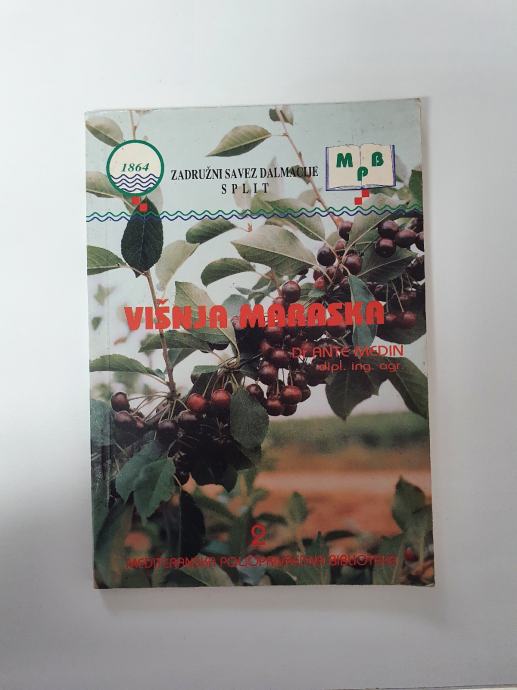 Višnja maraska