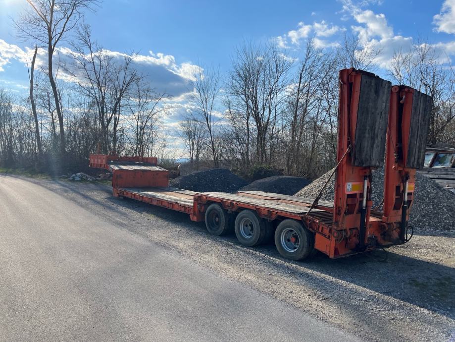 Labudica Goldhofer, 1991 god.