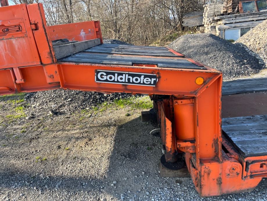 Labudica Goldhofer, 1991 god.