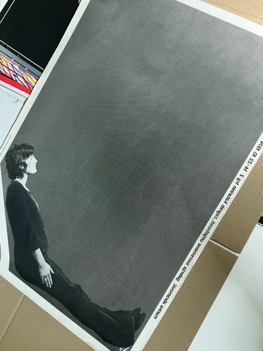 Marina Abramovic Plakat Sanja Ivekovic