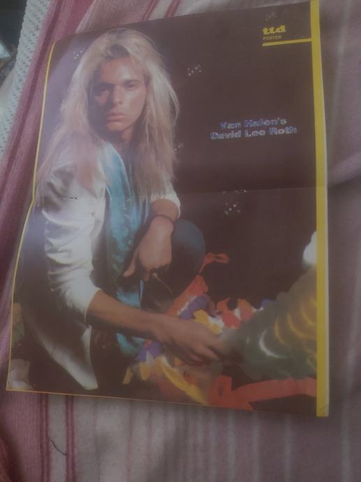 VAN HALENS DAVID LEE ROTH POSTER