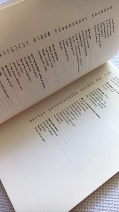 Daniel C. Matt Suština Kabale