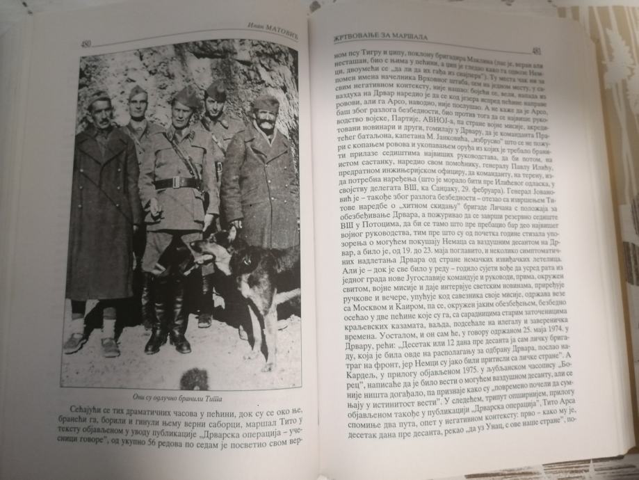 Vojskovođa s oreolom mučenika, Ivan Matović (na ćirilici)