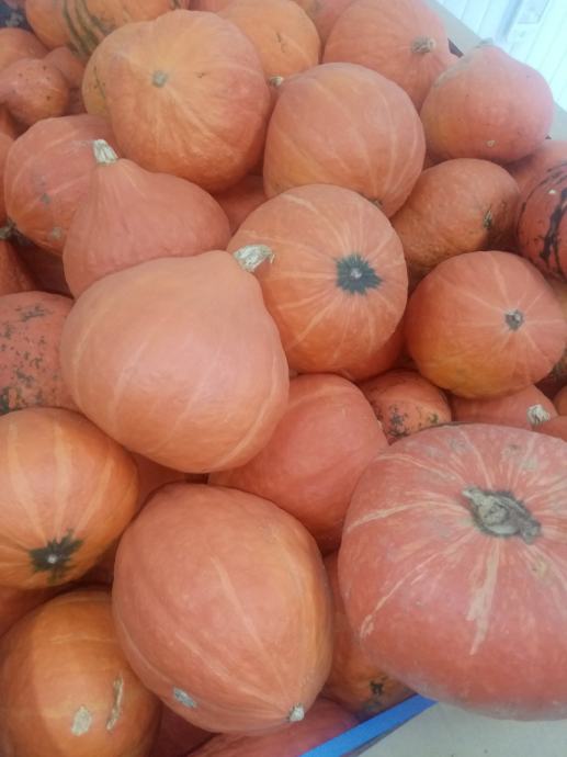 Butternut i Hokaido tikva