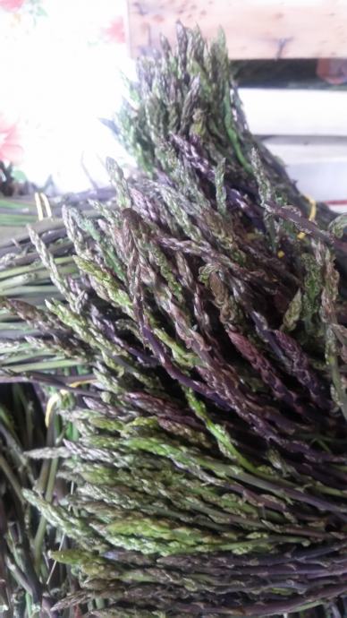 DIVLJE ŠPAROGE IZ DALMACIJE - ZAGREB ZAPAD