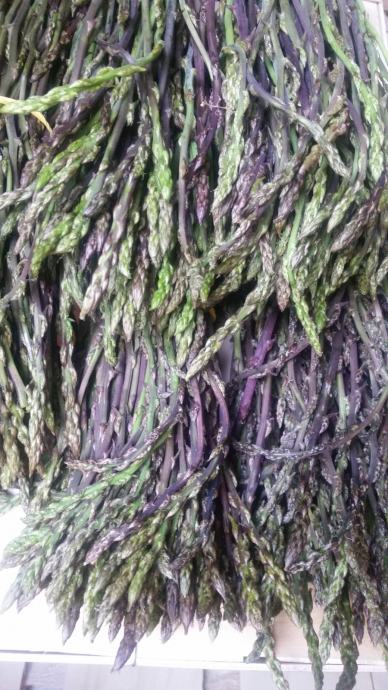 DIVLJE ŠPAROGE IZ DALMACIJE - ZAGREB ZAPAD