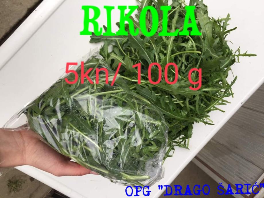 Domaći mladi luk, blitva, rikola, špinat