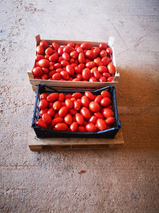 Domaći pelati - rajčica za salsu