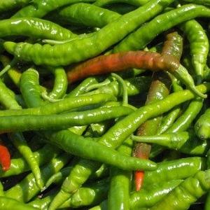 Feferoni blagi i feferoni ljuti