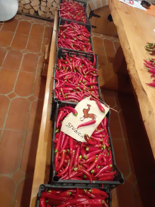 PAPRIČICA-FEFERON CRVENI,SVIJEŽI