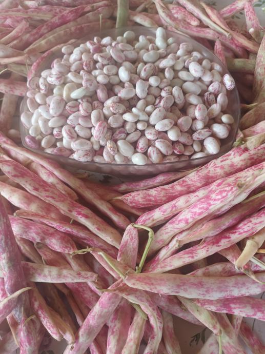 Grah u mahuni i očišćeni