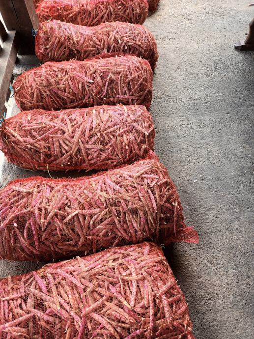 Grah u mahuni i očišćeni