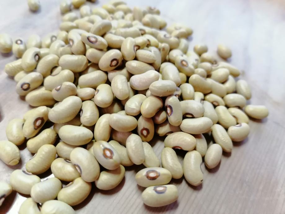 Grah Slavonski zeleni (niski)