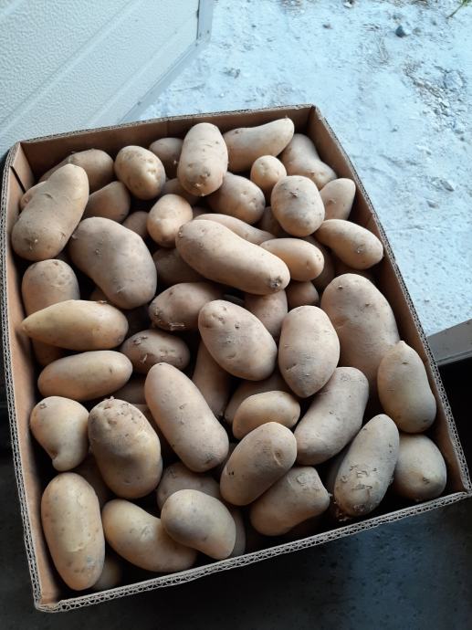 Krumpir sorte mona lisa i liseta 1.klasa