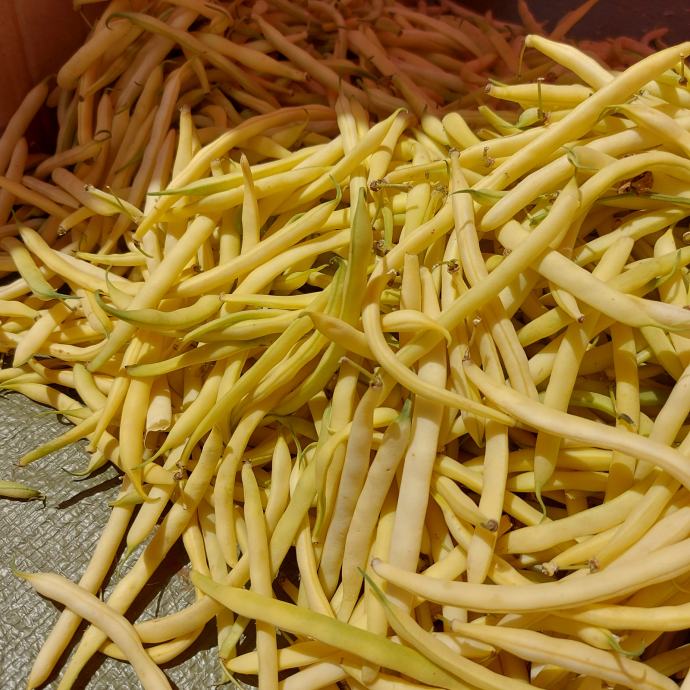 Mahune i mladi grah iz srca Podravine