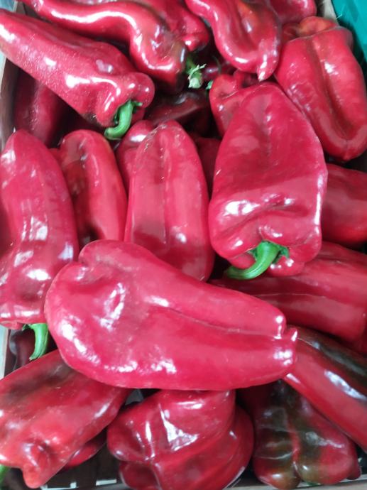 PAPRIKA AJVAR-ROG