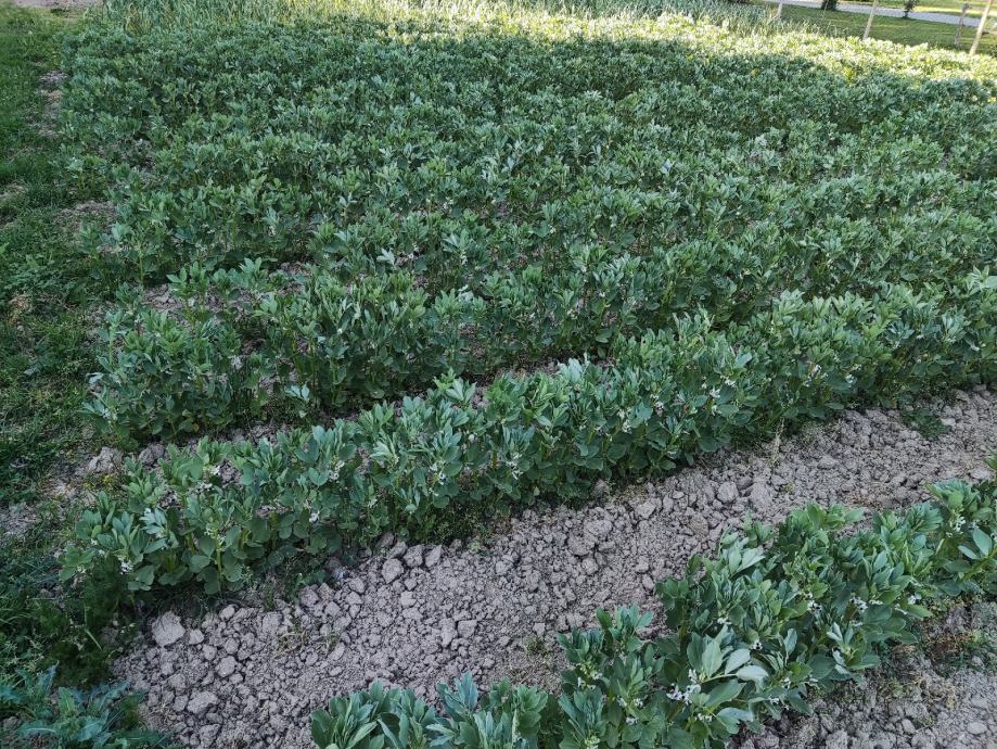 Predbilježbe za bob